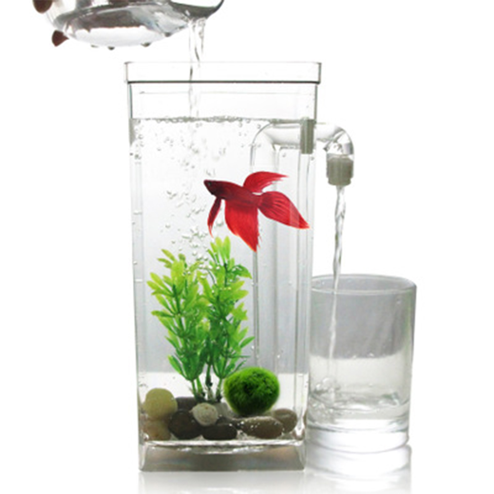 Buy Mini Self Cleaning Pet Fish Tank Aquarium for Tabletop Decor on ...